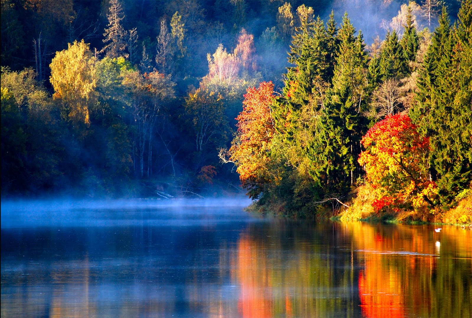 Autumn | Bimages.Net - Free Full HD Desktop Wallpapers, High Definition ...